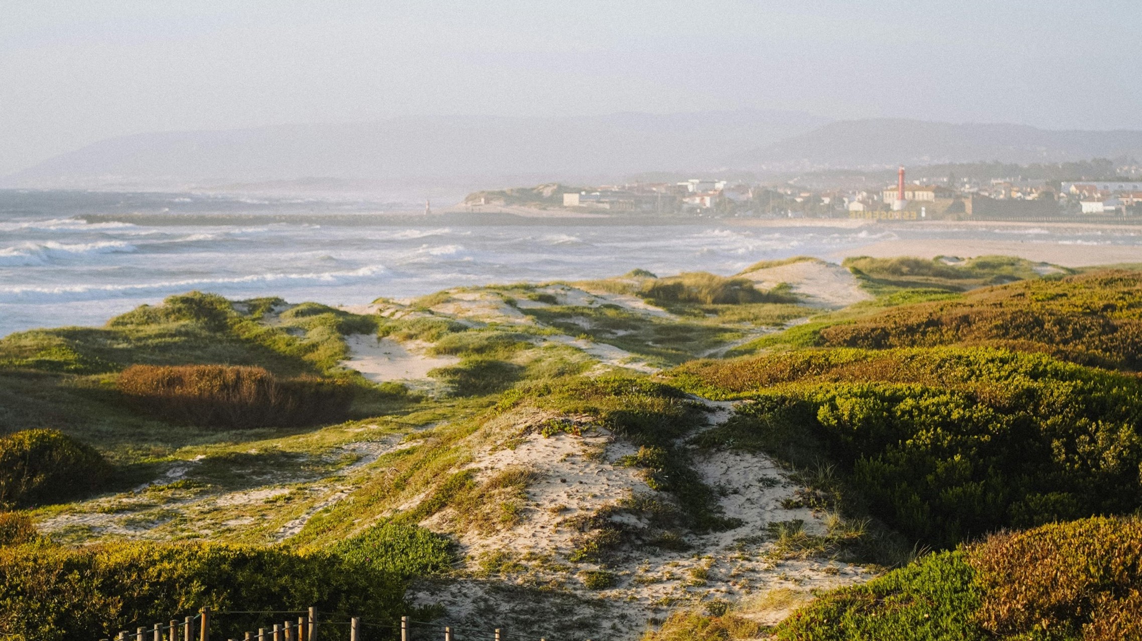 Learn How Technology Shapes the Future of Mobility | PTV Blog